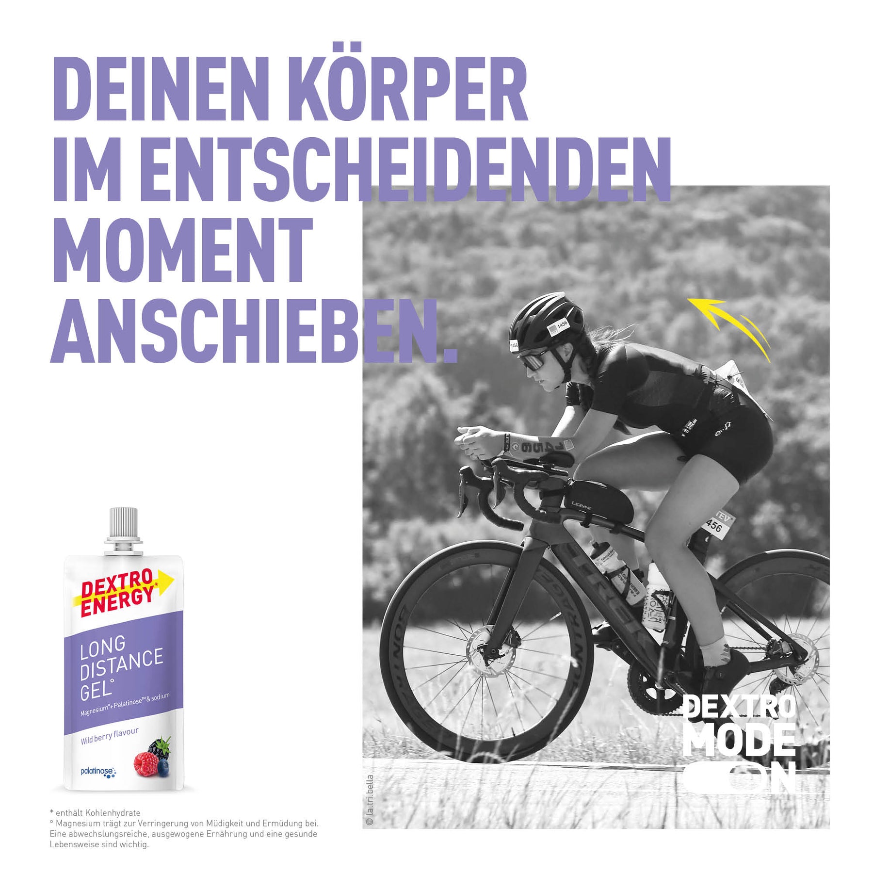 Dextro Energy* Long Distance Gel° Wild Berry: Energiegel